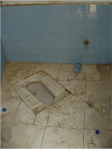 Pooping in India | EduCARE India